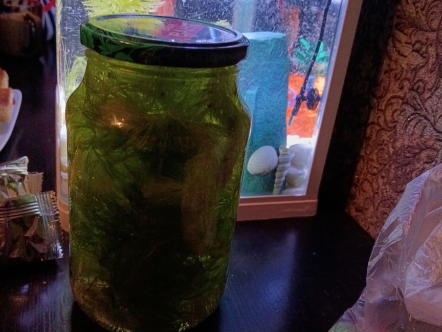 Отдам траву роголисник в аквариум+катушки