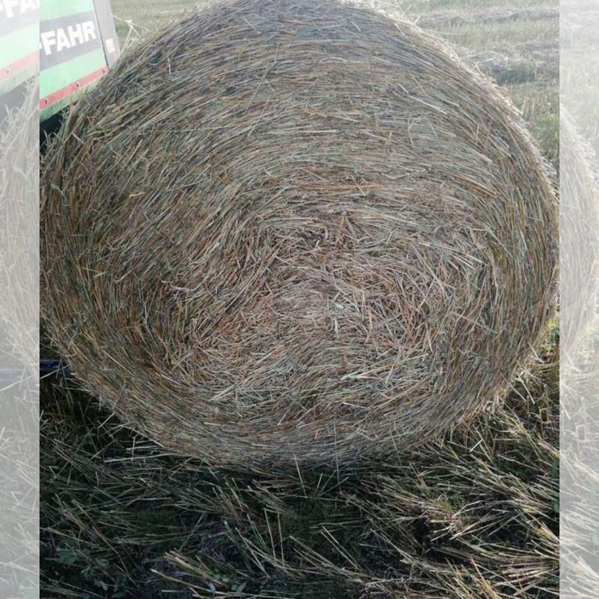 Сено в рулонах
