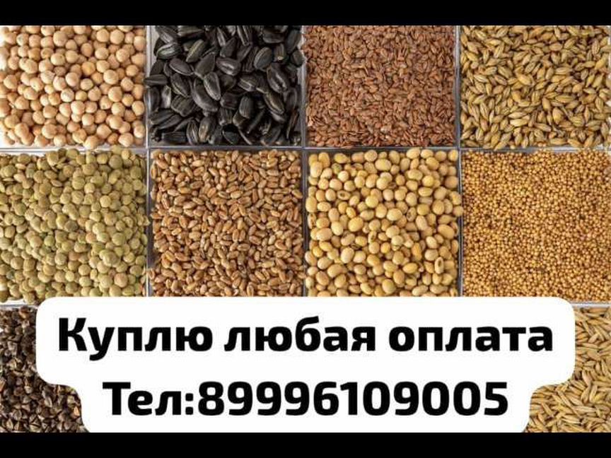 Семечка, Просо, Кукуруза