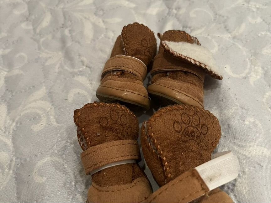 Одежда для собак
