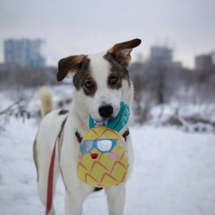 Чудесная девочка по имени Юна семью