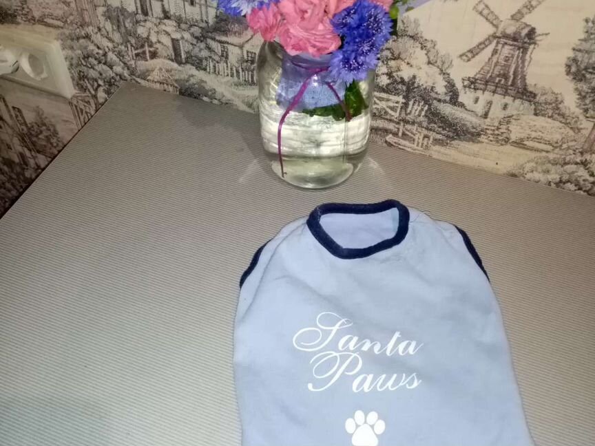 Кофта для кота