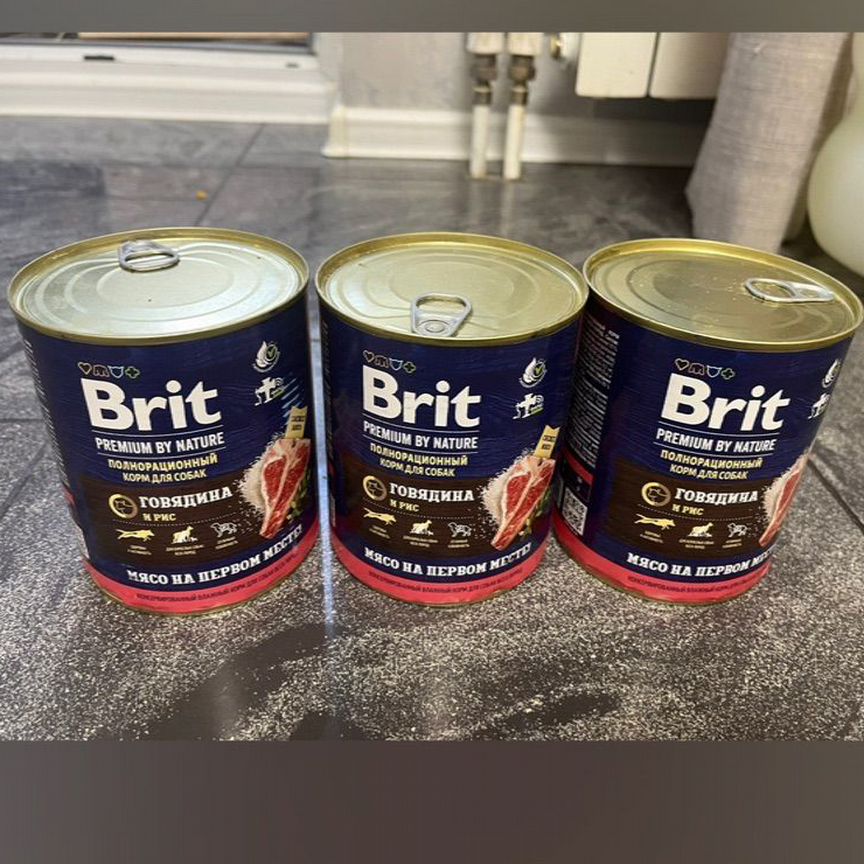 Корм для собак паштет