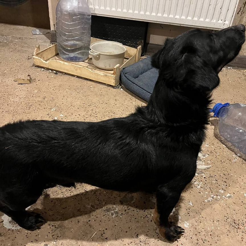 Супер мега позитив в хорошие руки