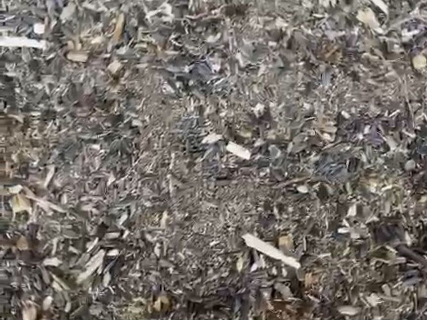 Отходы семечки