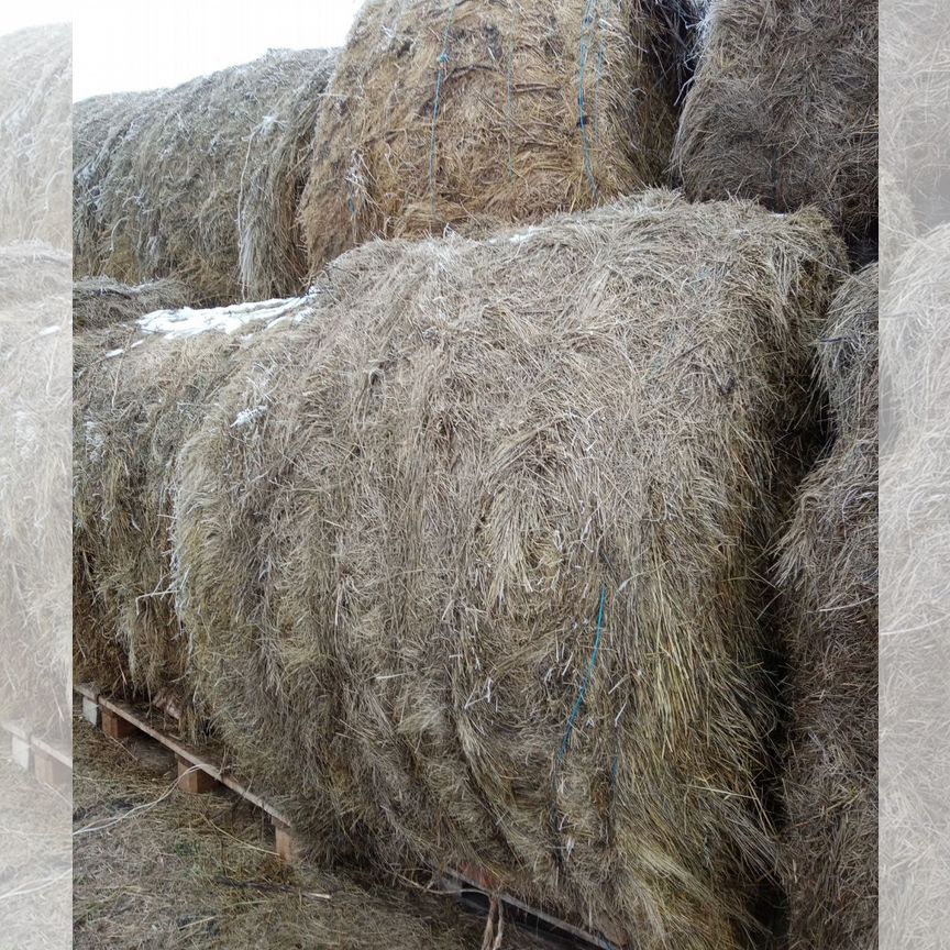 Сено луговое в рулонах