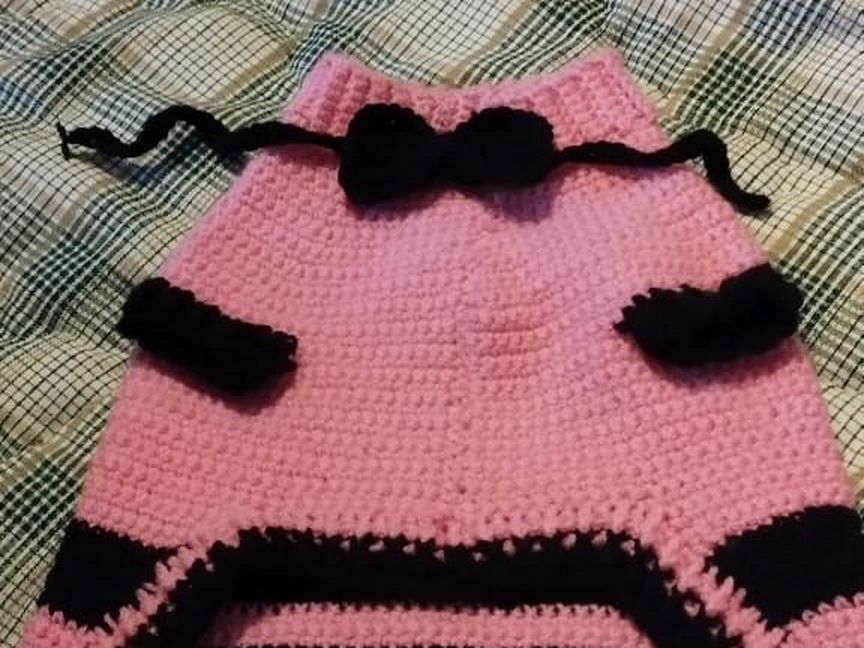 Одежда для животных