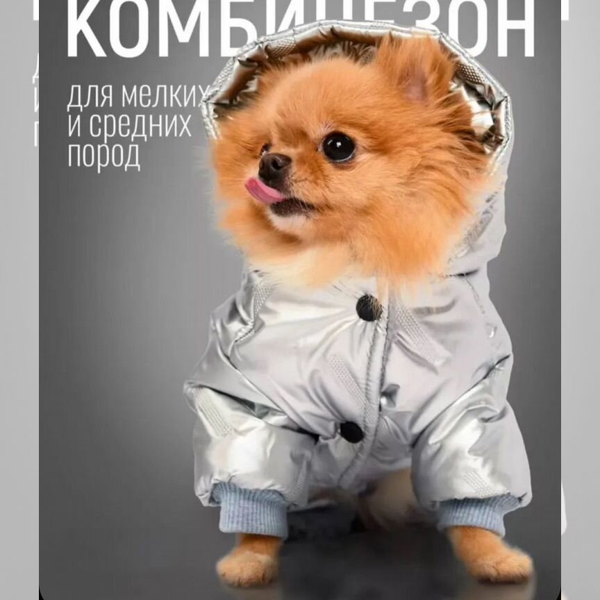 Костюм для маленькой собаки