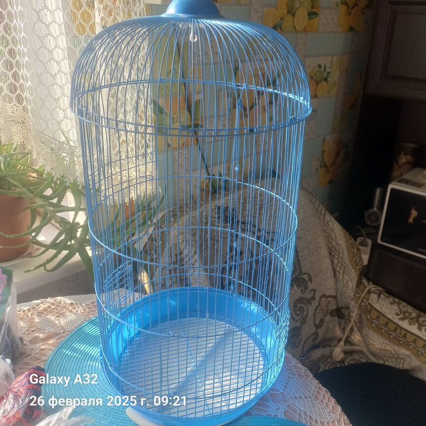 Клетка для крупного попугая бу