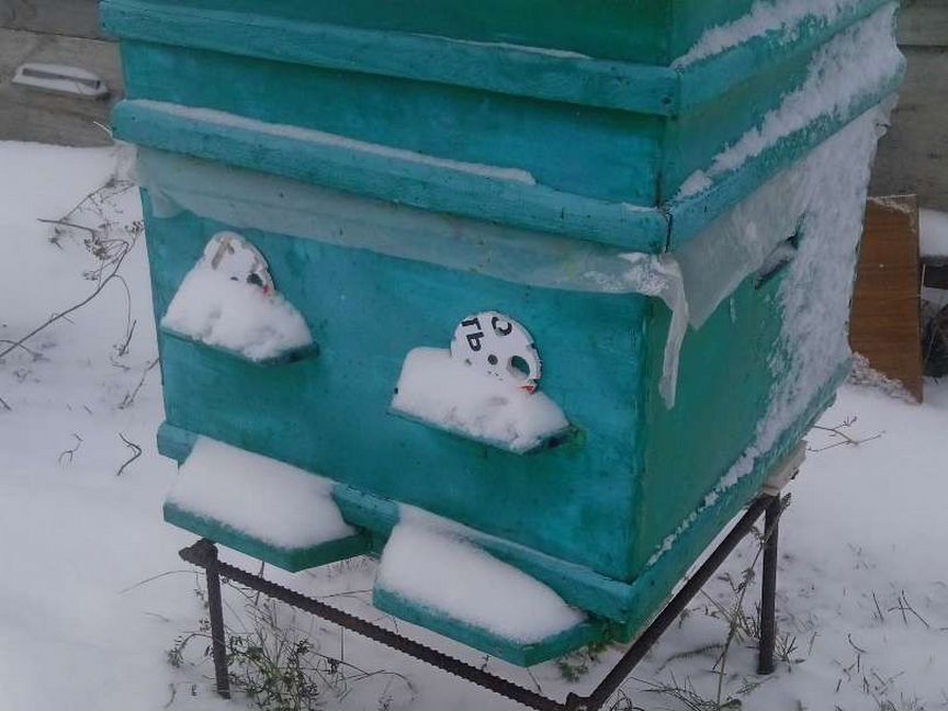 Улей для пчел