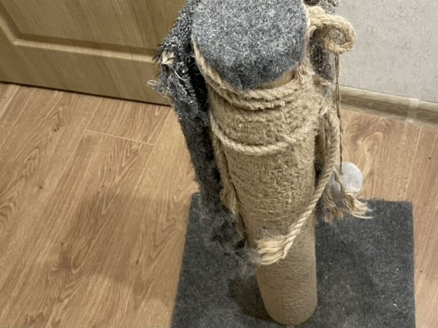 Когтеточка для кошек