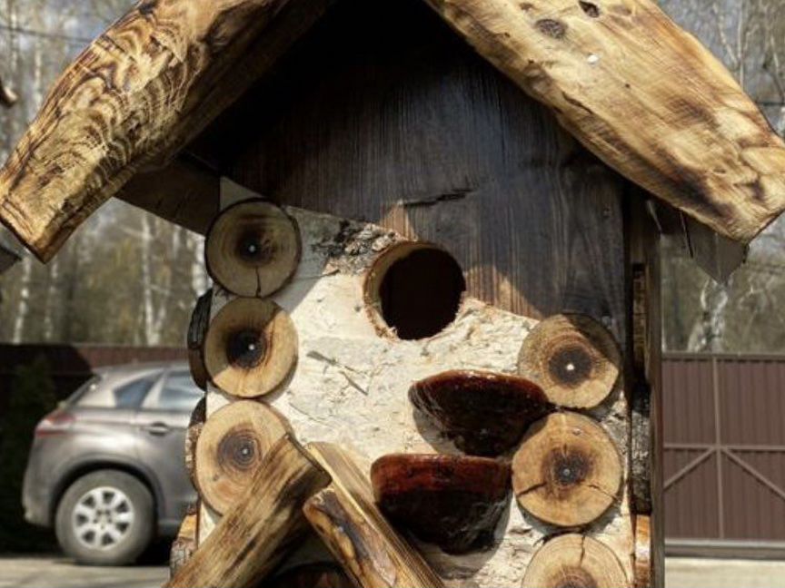 Скворечник для птиц и бельчатник