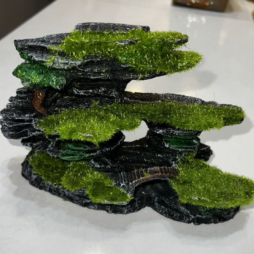 Морские кораллы для аквариума