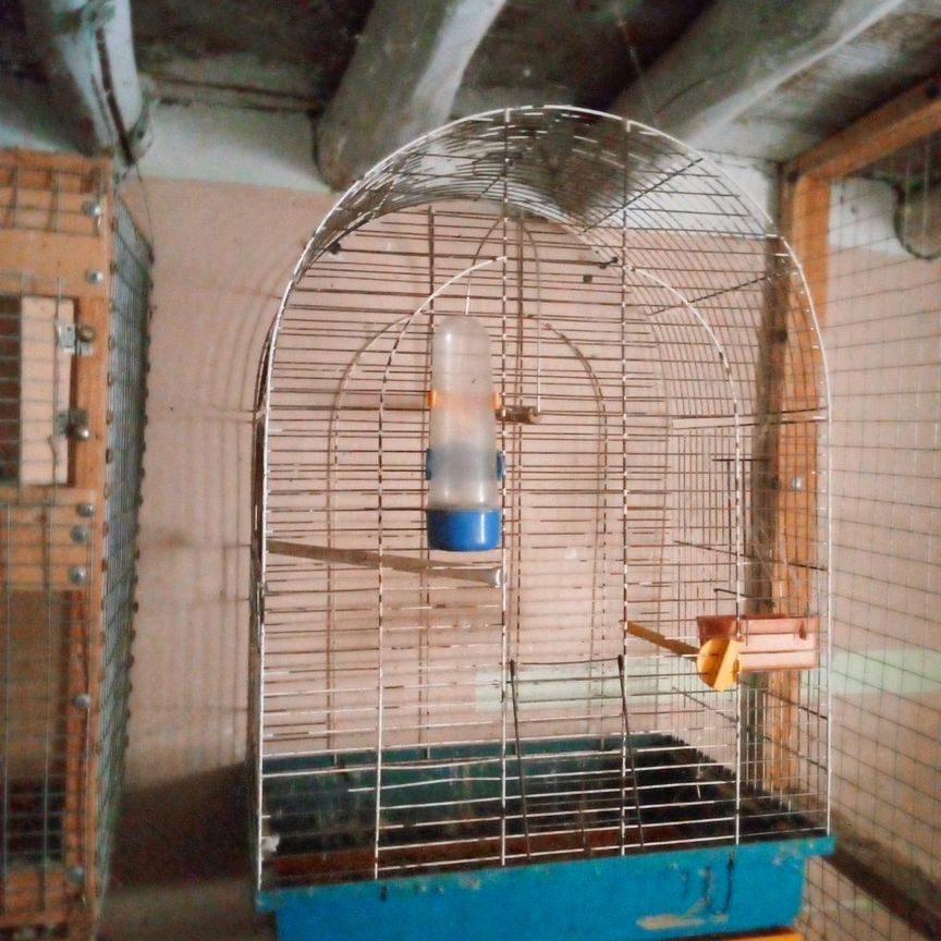Клетка для попугая