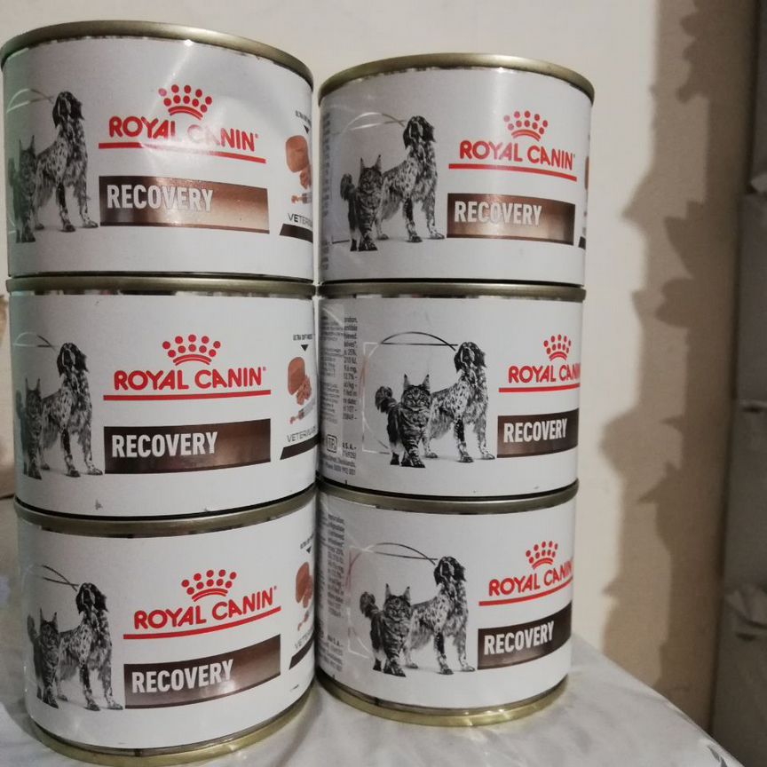 Корм для собак и кошек Royal Canin Recovery(повреж