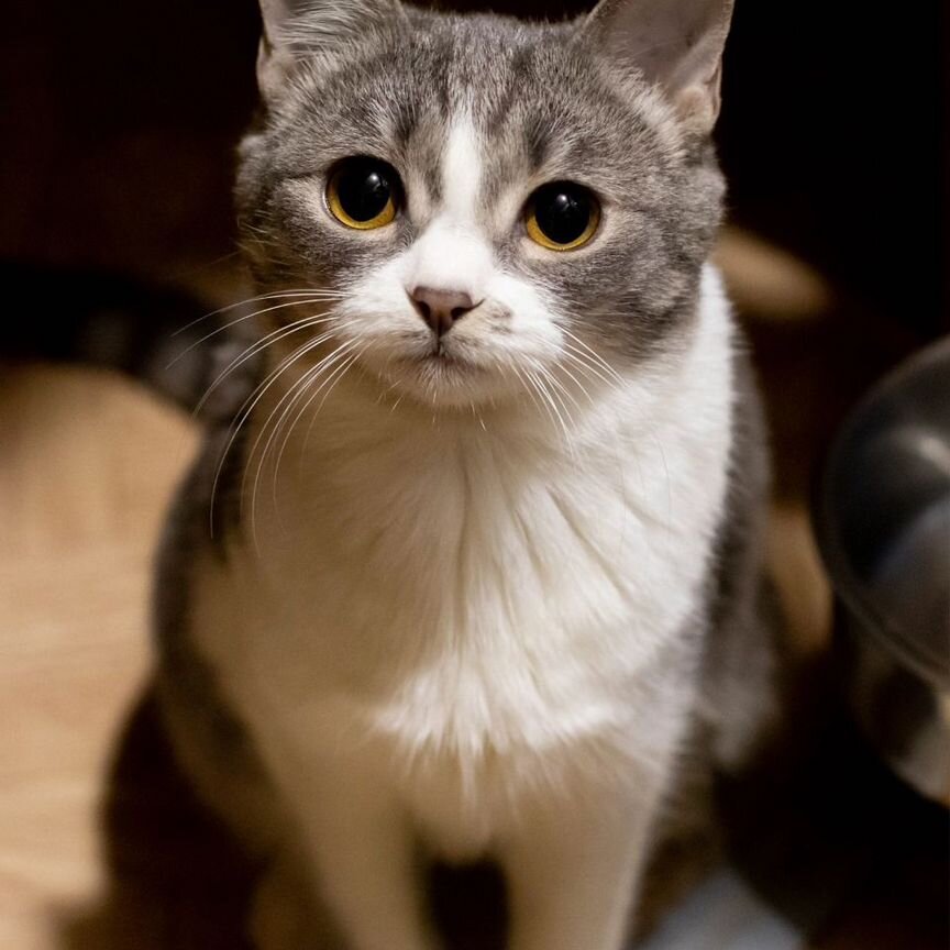 Милка