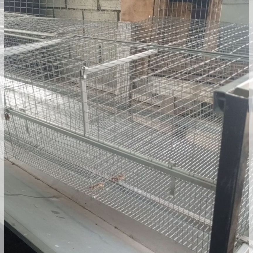 Новые клетки для кроликов, металлические