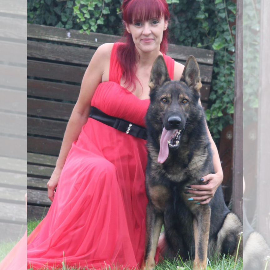 Щенки немецкой овчарки