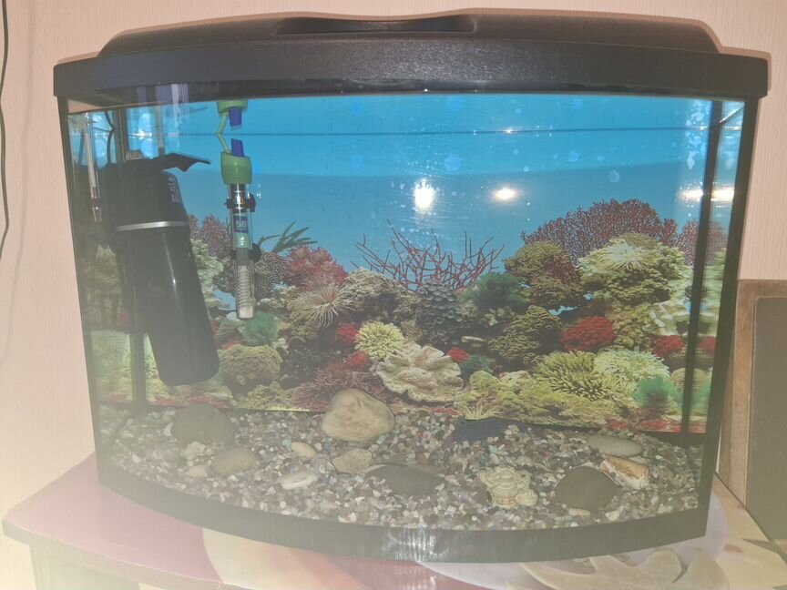 Аквариум с полным комплектом