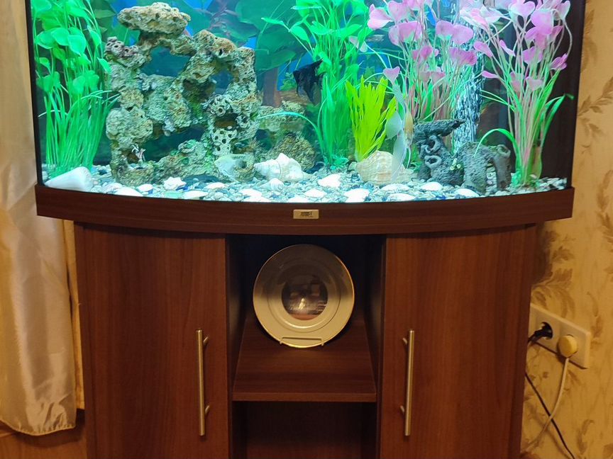 Аквариум с тумбой Juwel, 180 литров
