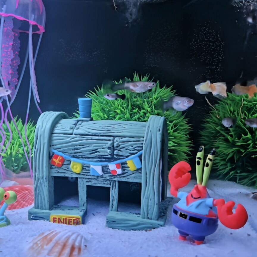 Аквариумные рыбки гуппи