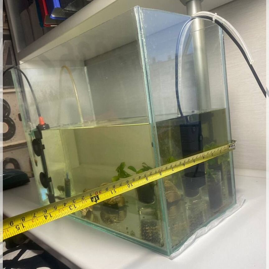 Аквариум с рыбками