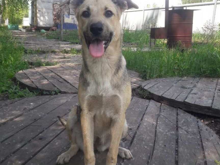 Вильям