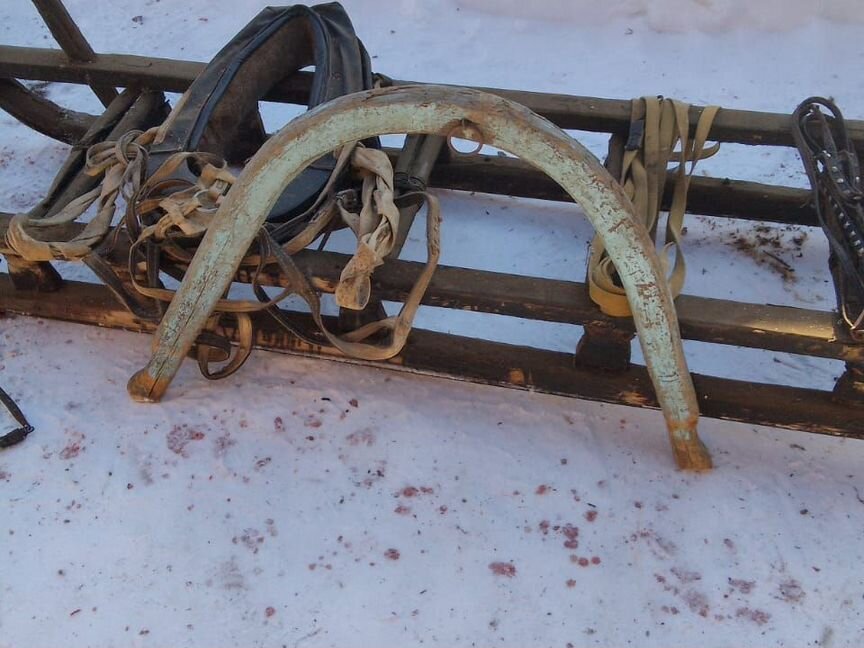 Упряжь для лошади