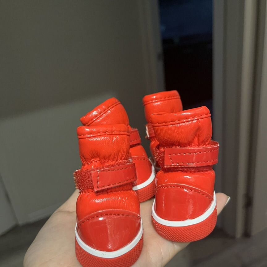 Обувь для собак