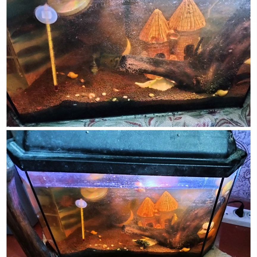 Аквариум со всем содержимым