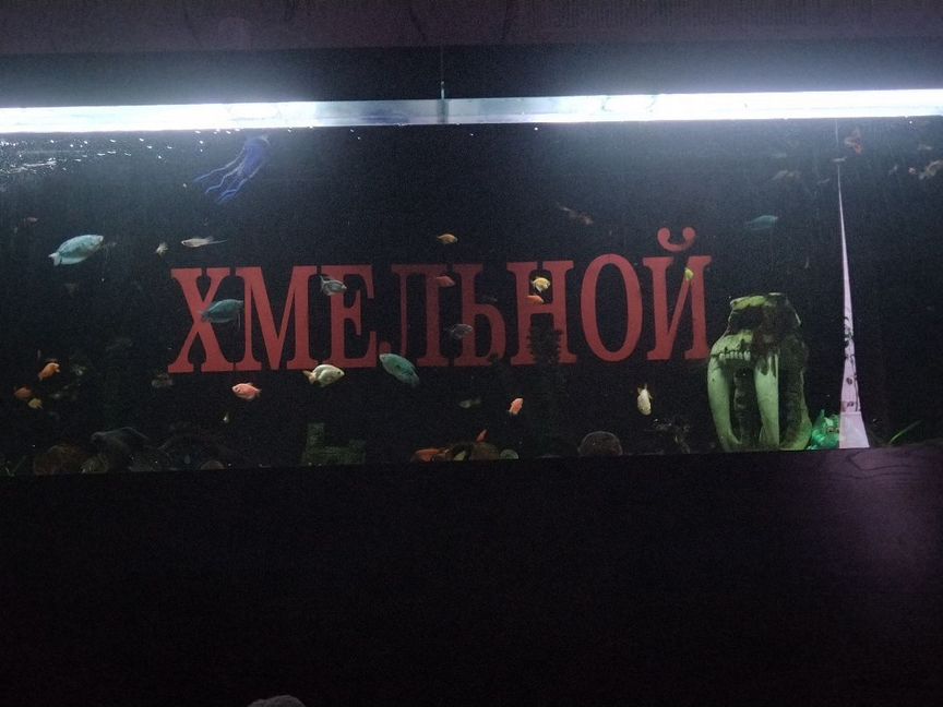 Аквариум