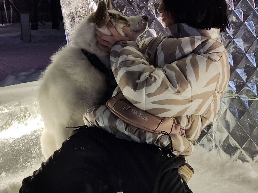 Выгул собак