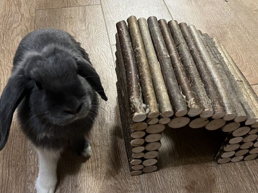 Деревяннный домик для кролика