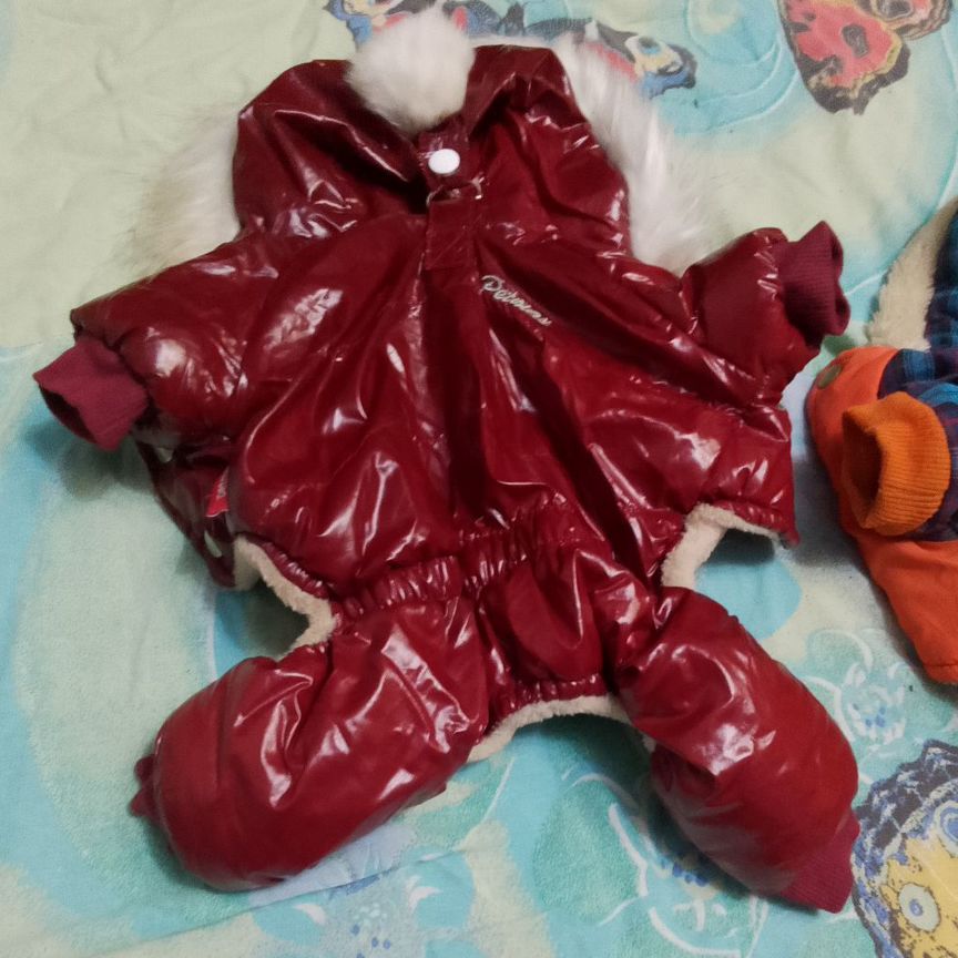 Одежда для маленьких собак пакетом