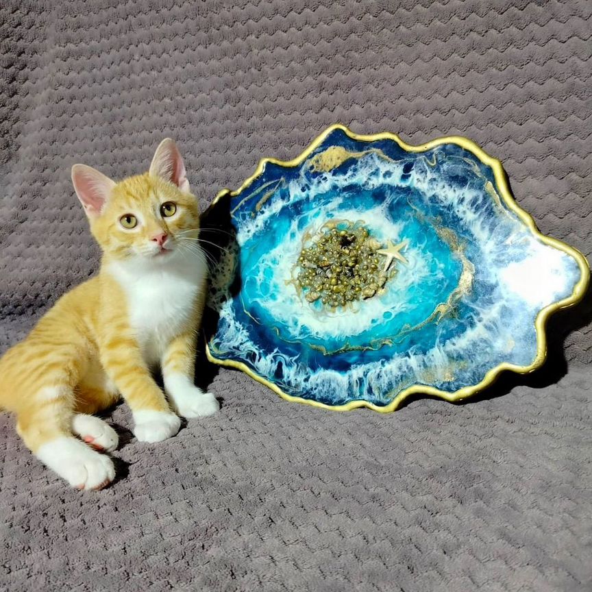 Котенок