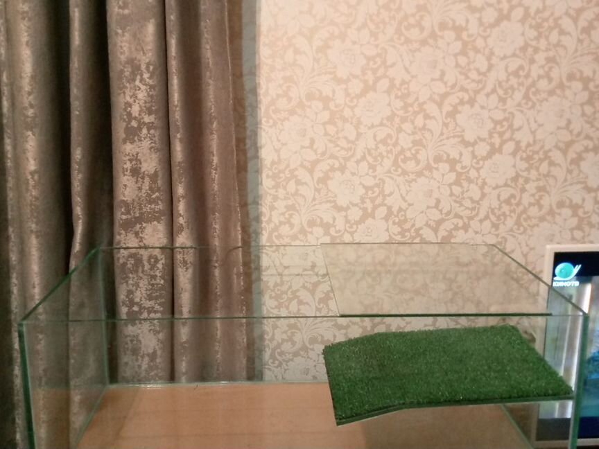 Аквариум для красноухой черепахи