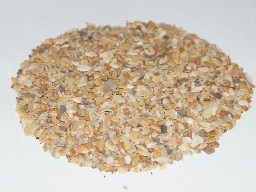 Ракушка для кур