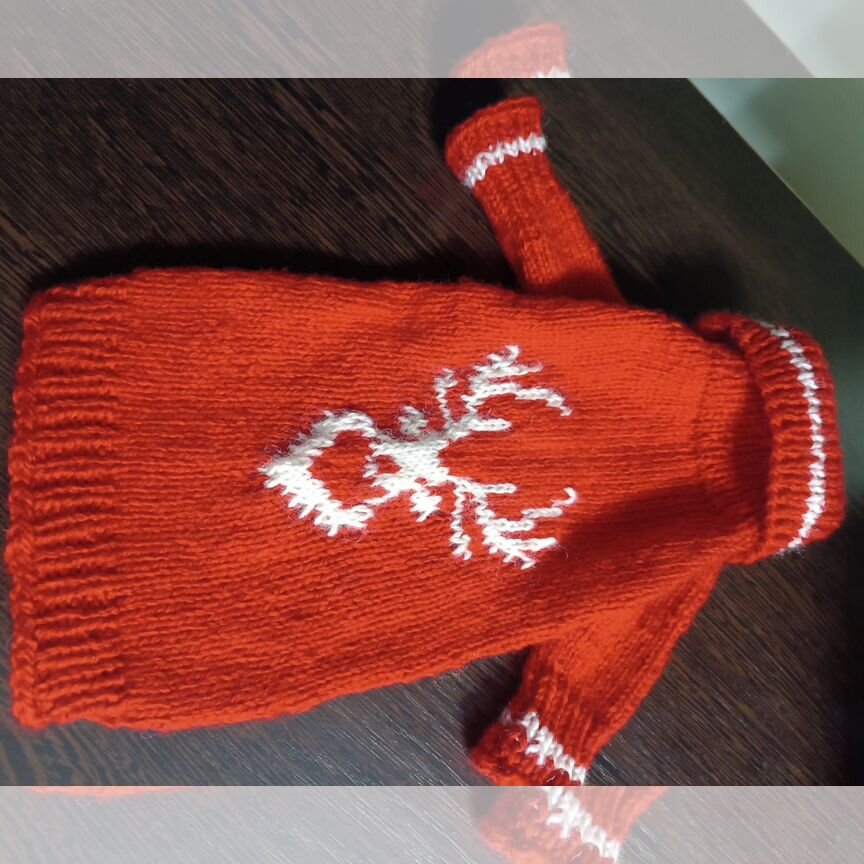 Свитер для сфинкса