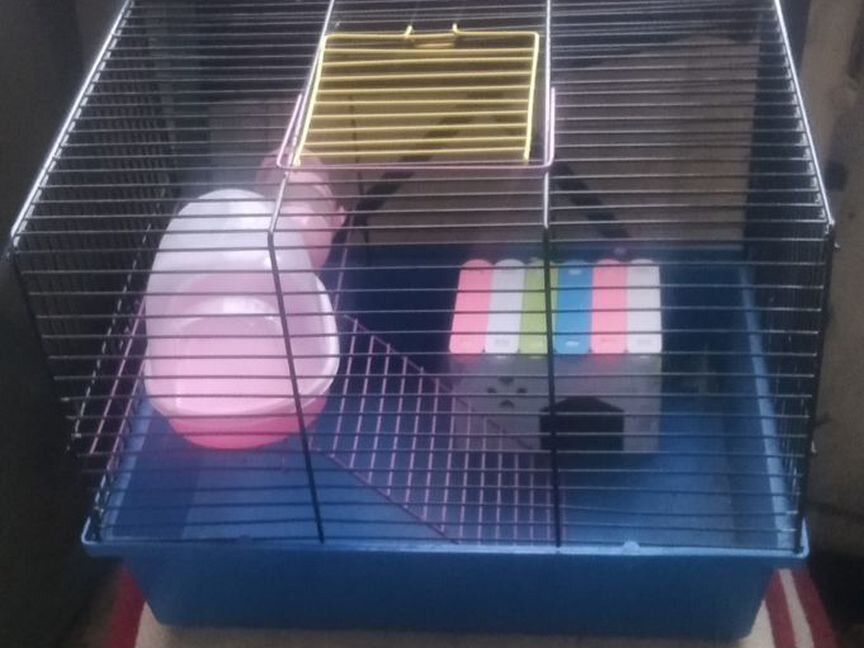 Клетка для грызунов