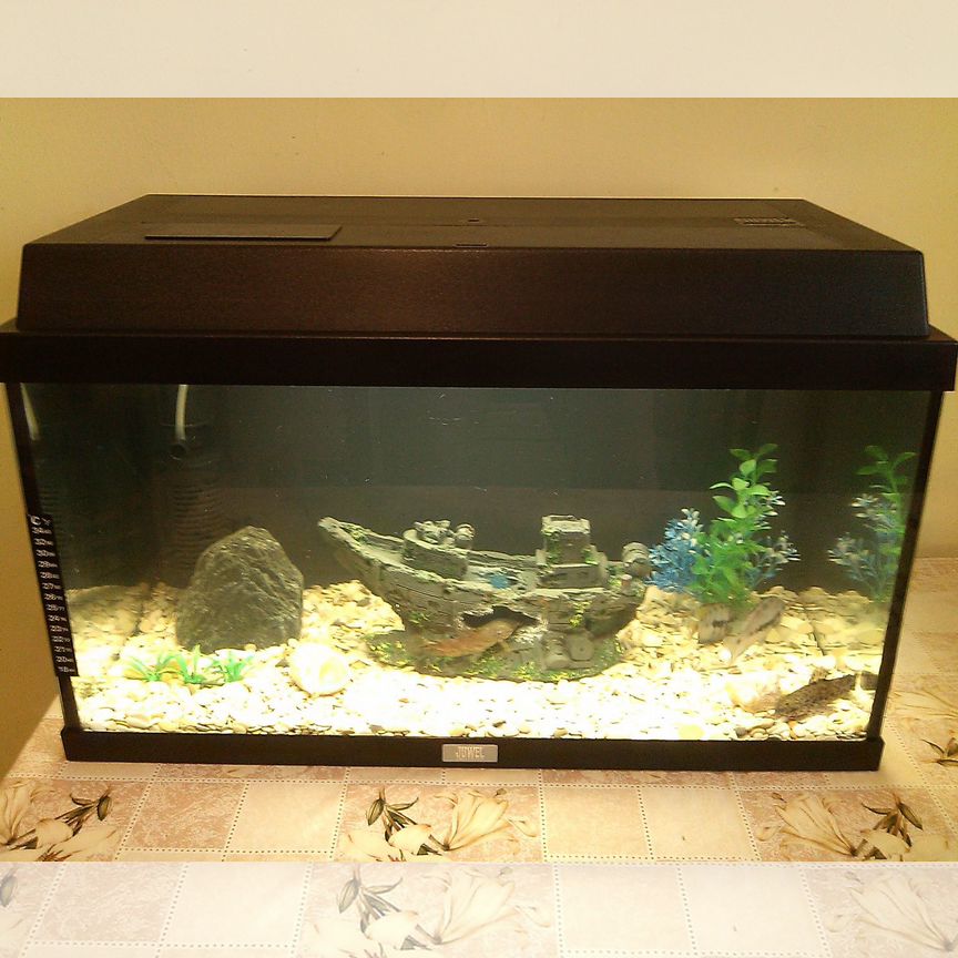 Аквариум "Juwel" 60L.Monolux.Рыбы фильтр декор осв