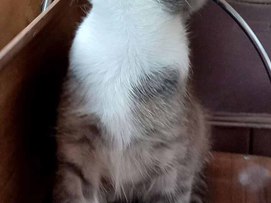 В самые добрые руки