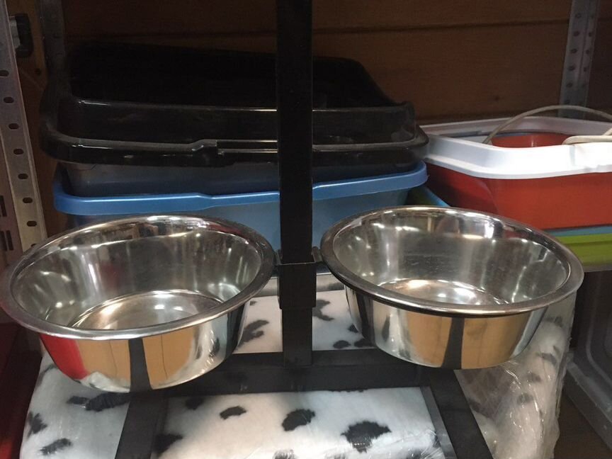 Когтеточка, лежанка, миски