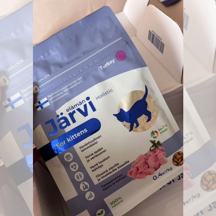 Корм для котят