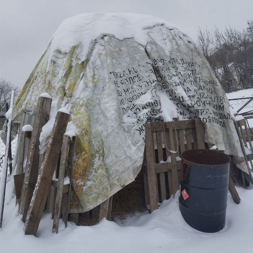 Сено луговое разнотравье