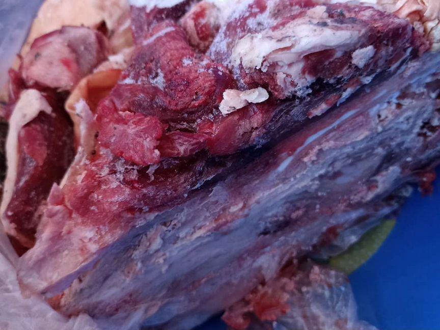 Мясо для собак