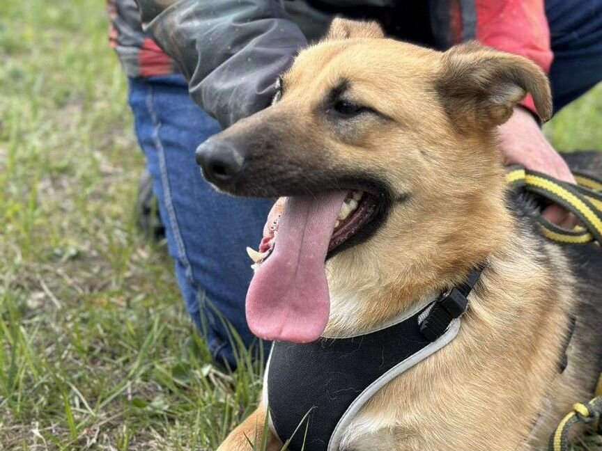 Весёлый мальчишка их приюта