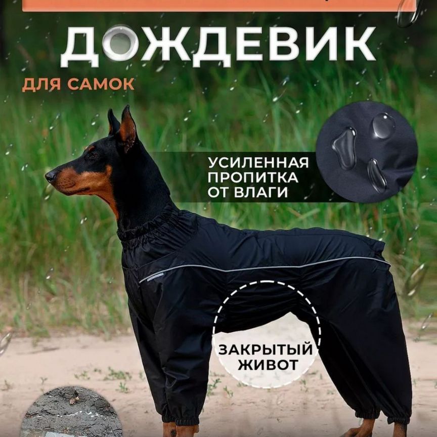 Дождевик для средней собаки