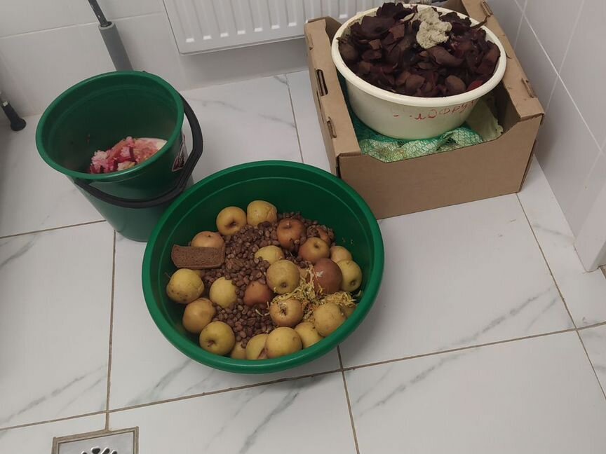 Пищевые отходы для хрюшек, бесплатно