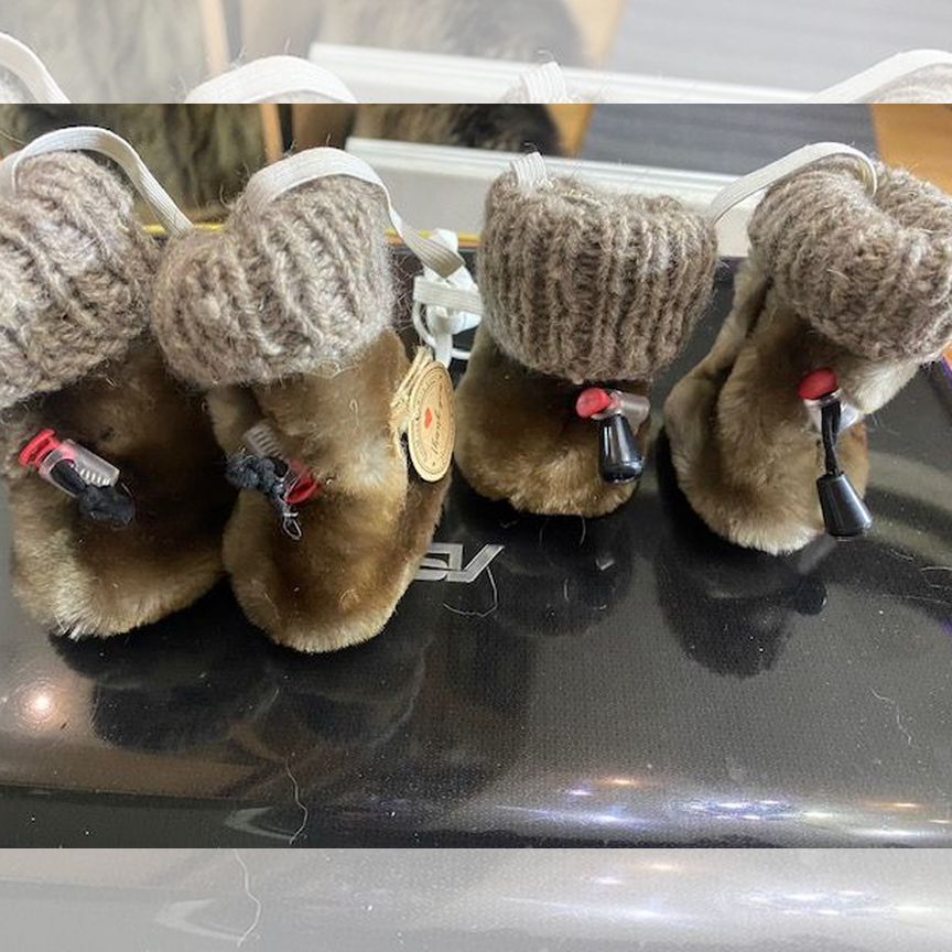 Ботиночки для собак