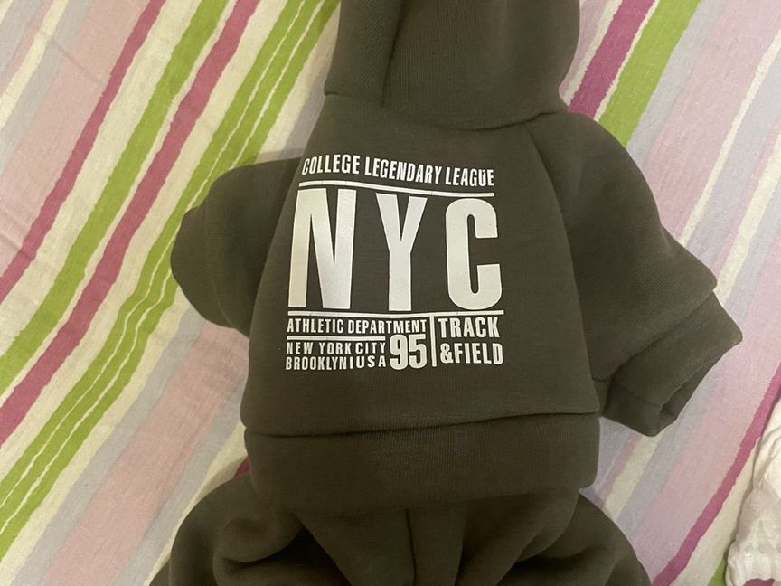 Костюмчики для собак мини пород или щенков